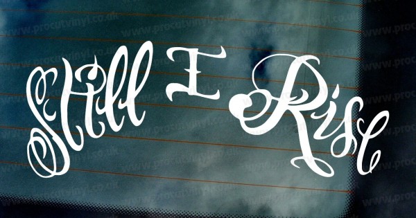 Lewis Hamilton 'STILL I RISE' 2020 World Champion Car Window Bumper ...