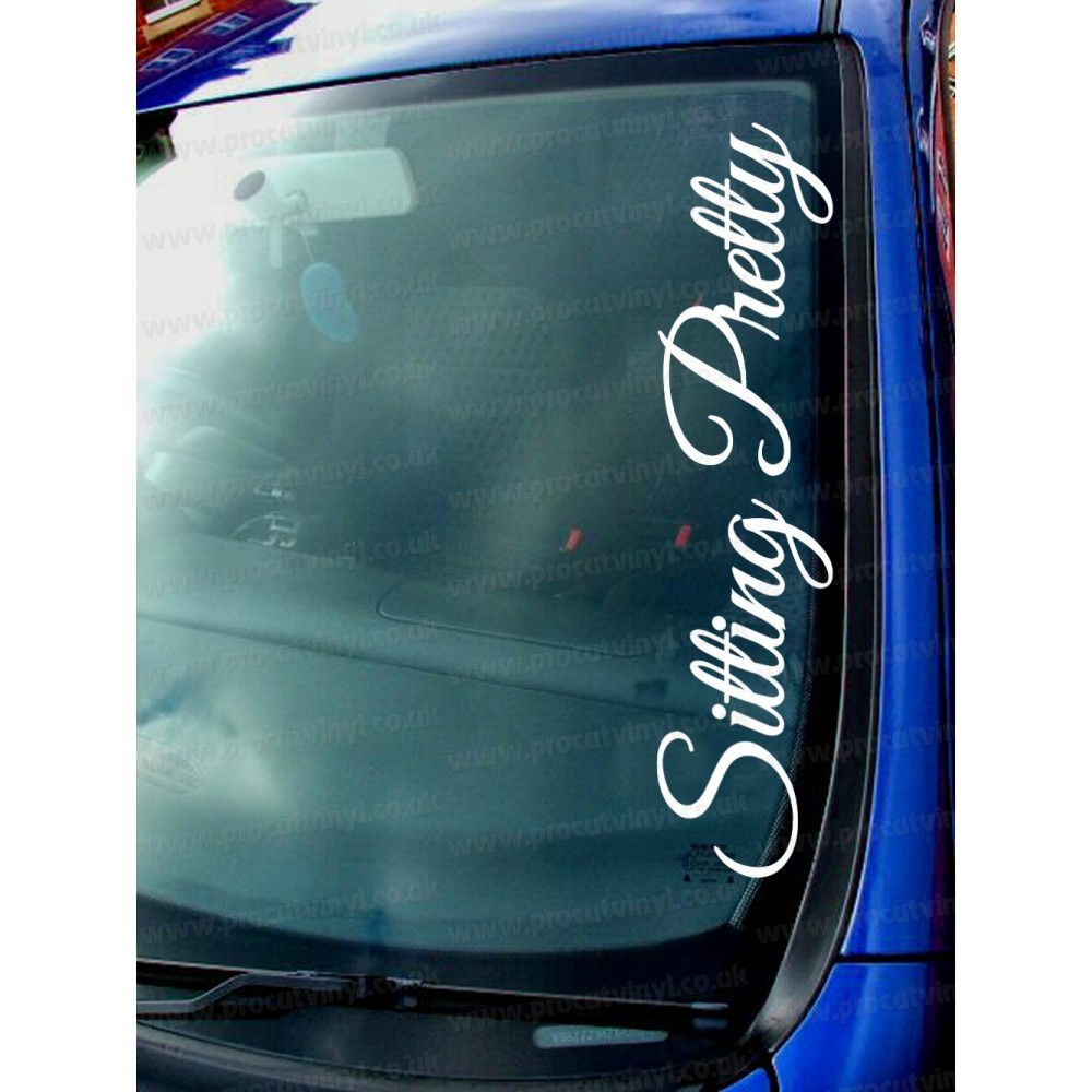Sitting Pretty Car Window Bumper Sticker Decal