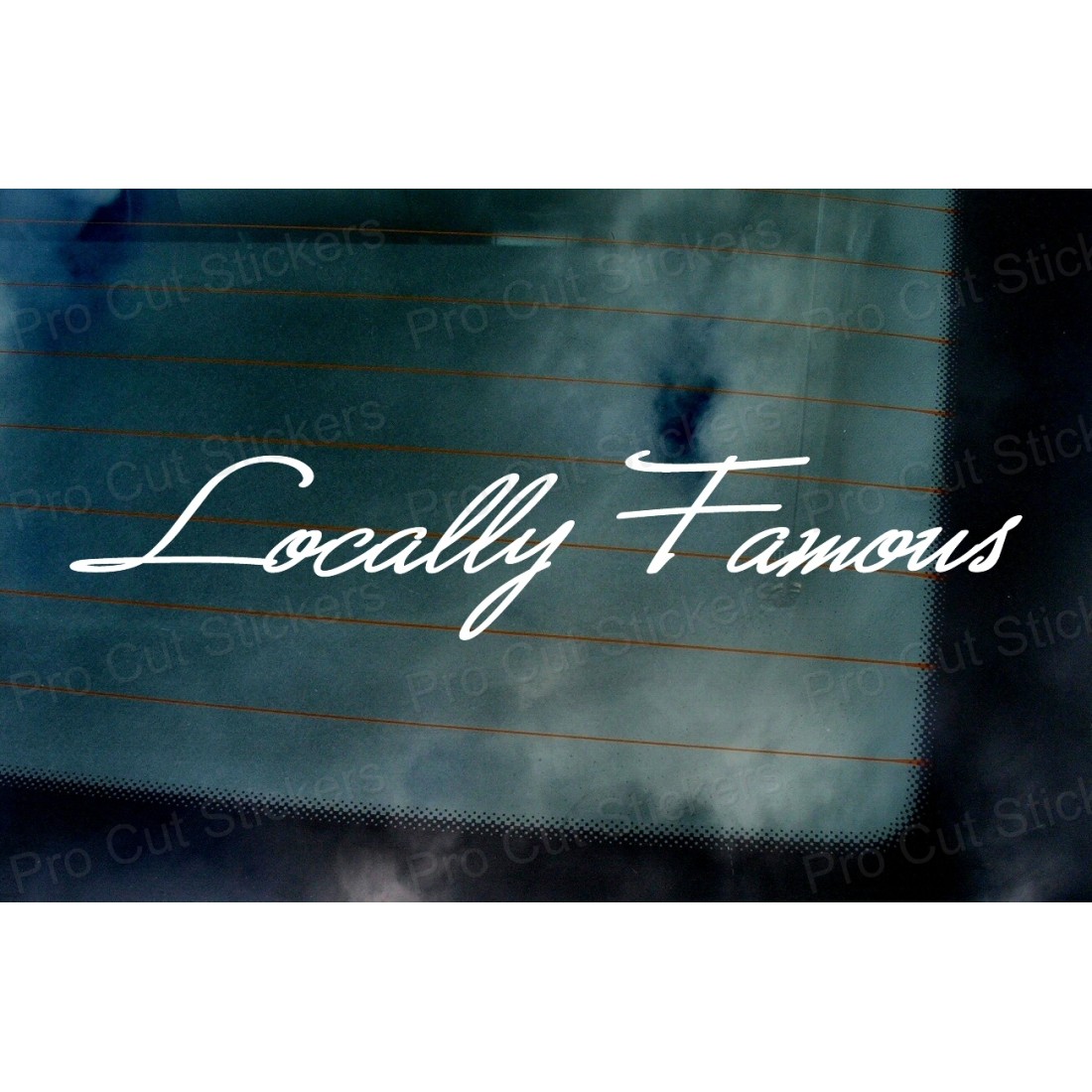 Locally Famous Signature Style Car Window Bumper Custom Sticker Decal