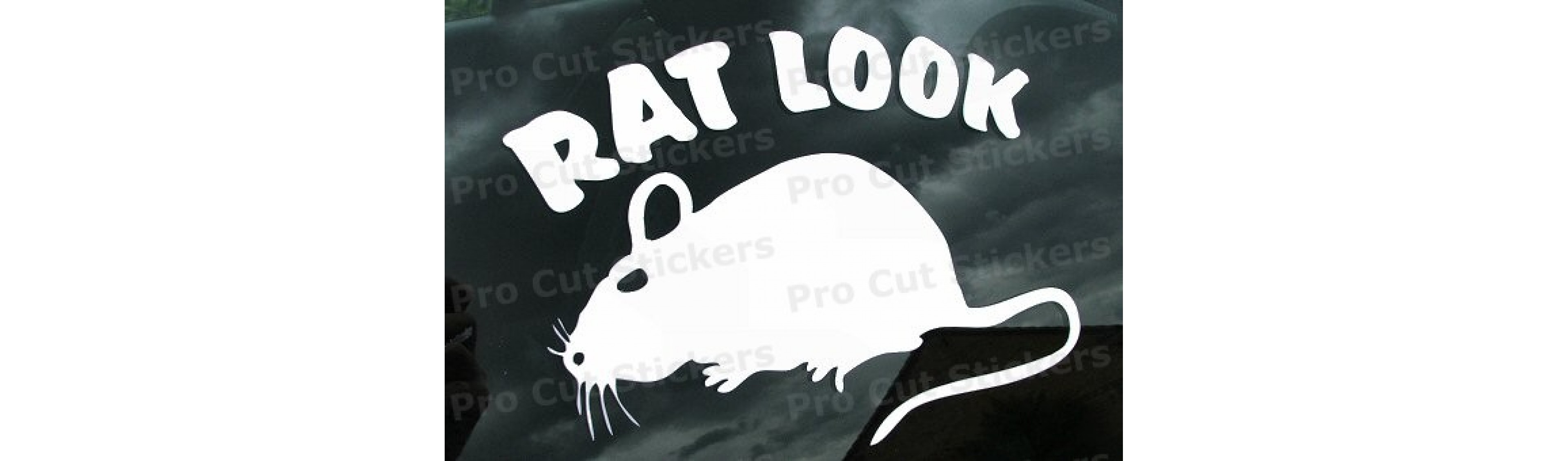 Rat Look Stickers